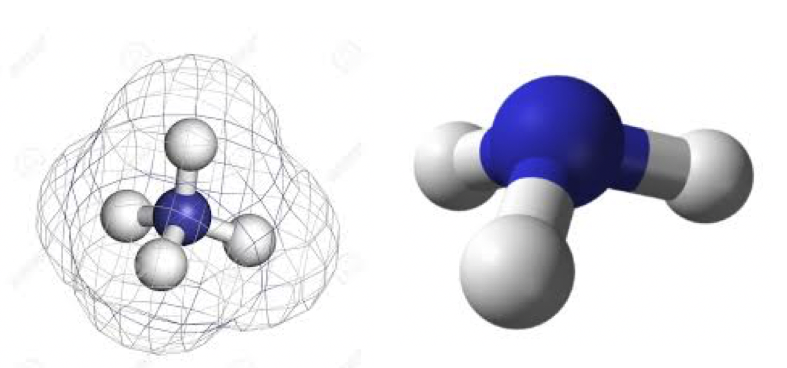 El Amonio y la Hiperamonemia - Kalstein